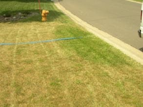 The Truth about Salt Water Pools